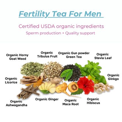 Herbal Tea for Male Reproductive Support | Male Fertility Tea ...