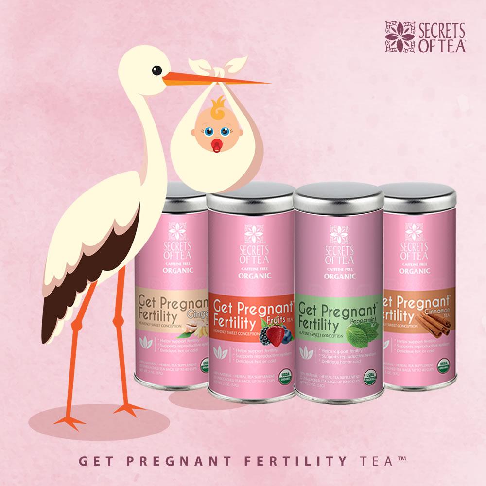 Get Pregnant Fertility Fruits Tea - Organic Herbal Blend for Women's ...